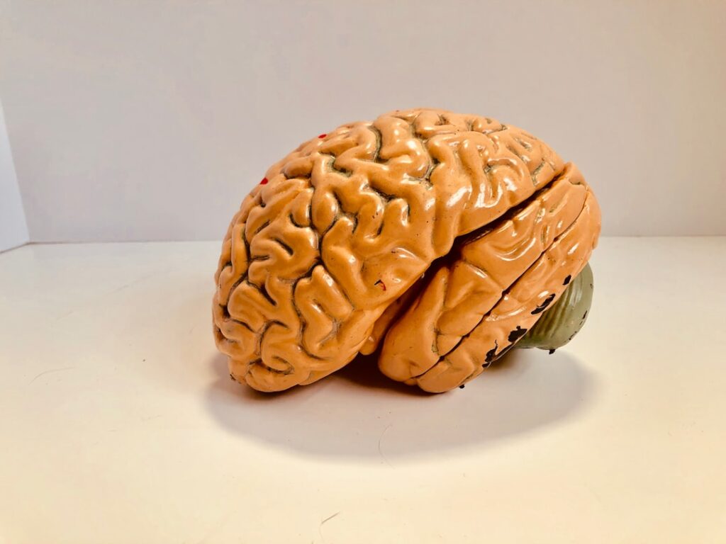 The Science of Human Behavior: New Insights from Psychological Research ...
